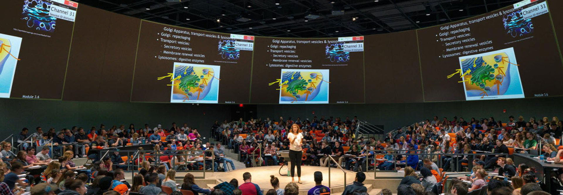 Best Practices for Creating an Innovative Learning Space in a ...